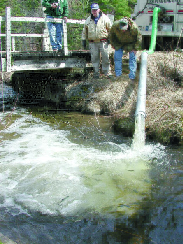 Tons of fish stocked in Michigan waters | News, Sports, Jobs - The ...